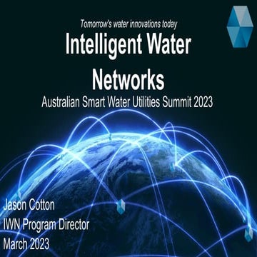 DISCUSSION ON THE DEVELOPMENT OF THE INTELLIGENT WATER NETWORKS PROGRAM ...