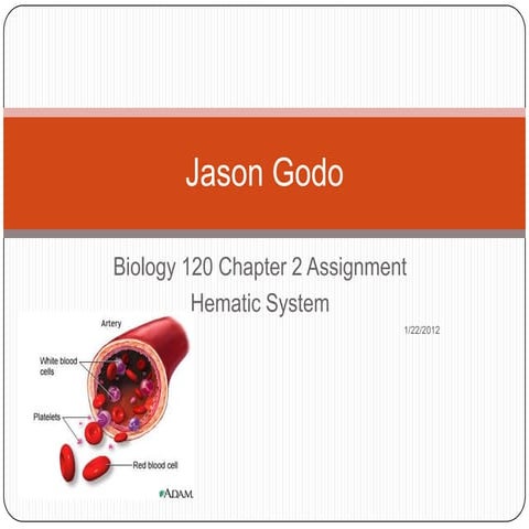 Jason Godo biology 120 chapter 2 presentation hematic system | PPTX