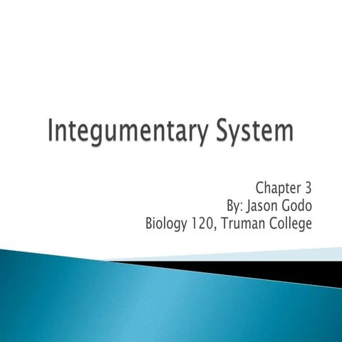 The integumentary system | PPTX