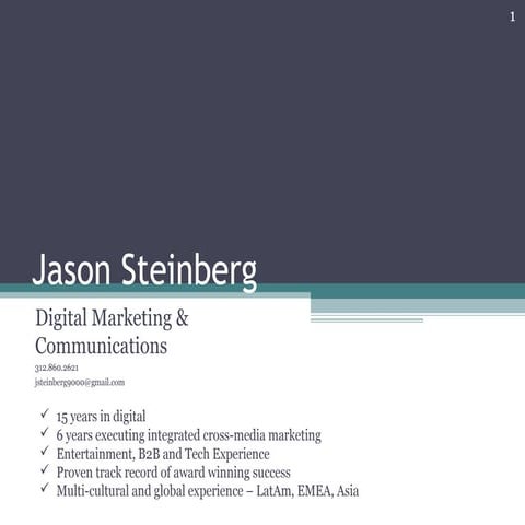 Jason Steinberg Digital Media Executive - Overview of Experience | PPT