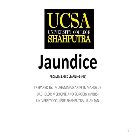 Jaundice | PPTX