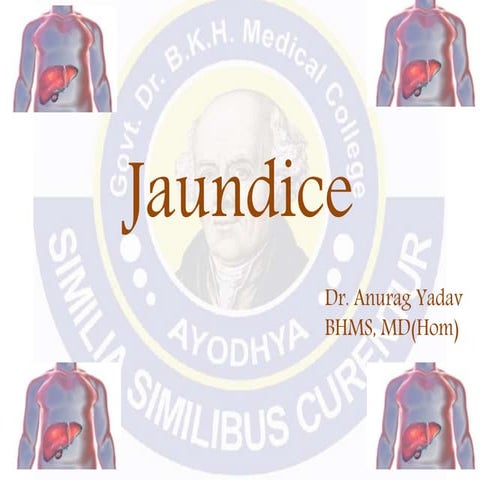 Jaundice Pathology | PPTX