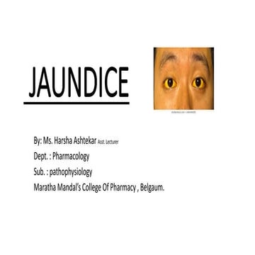 Jaundice | PPTX