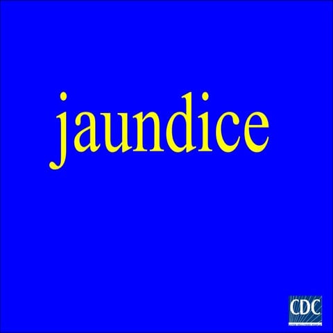 jaundice-(three types)- pre hepatic, hepatic , post hepatic | PDF