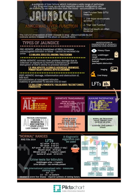 University of Manchester - Finals OSCE Revision Checklist | PDF