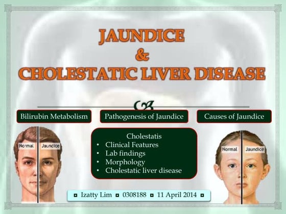 Cholestatic jaundice | PPT