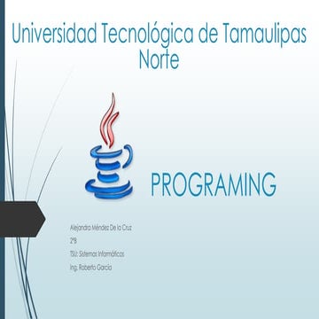 Programing - 2nd B - IT - UTTN | PPTX | Programming Languages | Computing