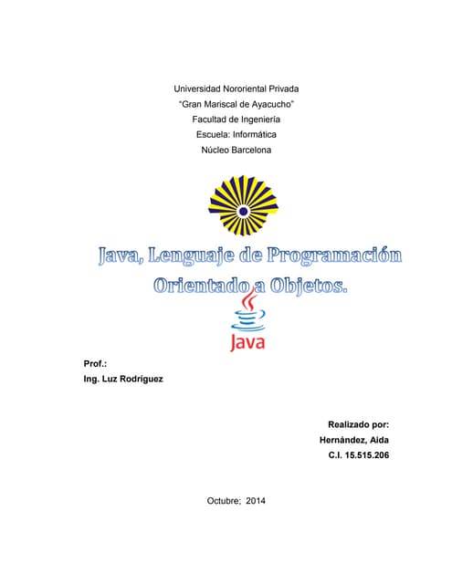 Java Lenguaje De Programación Orientado A Objetos Pdf