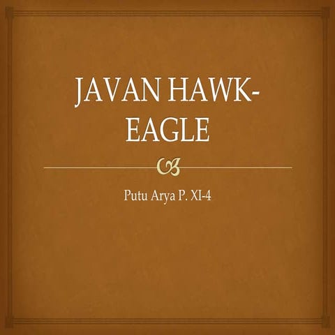 Javan hawk eagle | PPTX