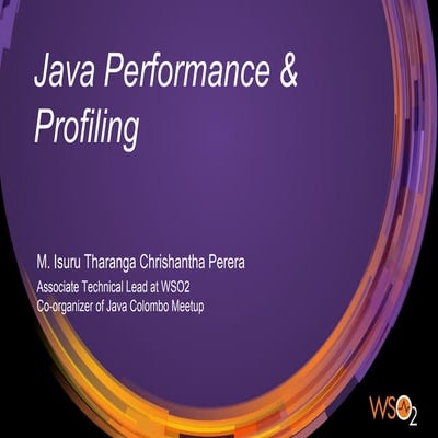 Java Performance And Profiling Ppt