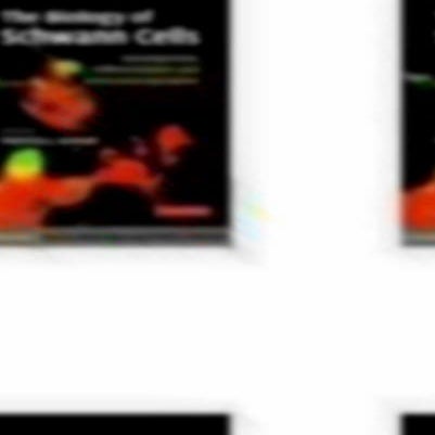 Java teach yourself java in 21 days | PDF | Desserts and Baking | Food ...