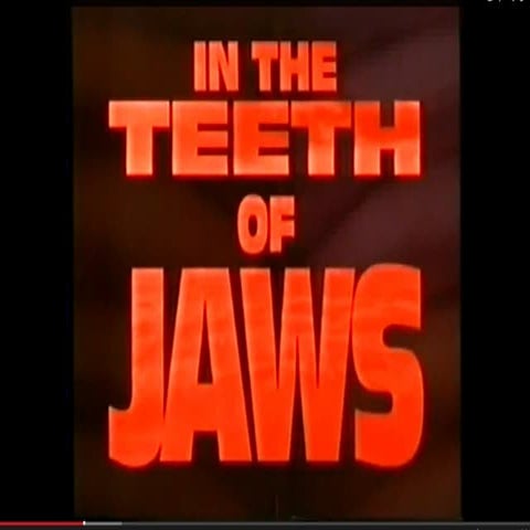 Jaws interview analysis | PPT