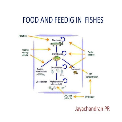 Food and feeding in fishes | PPTX