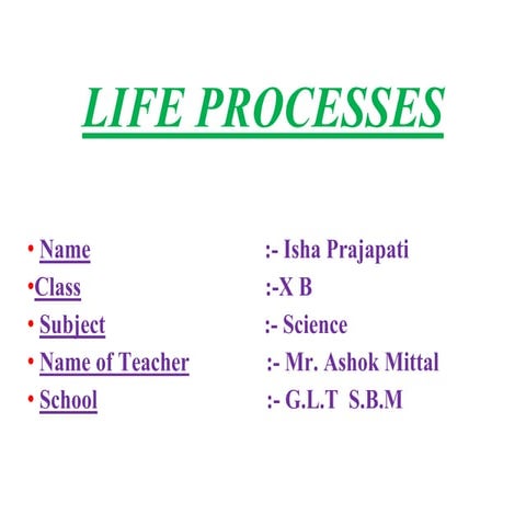 Life processes. | PPTX | Nutrition | Healthy Living
