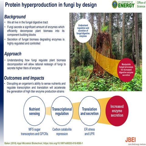 JBEI Research Highlights - August 2018 | PDF | Chemistry | Science