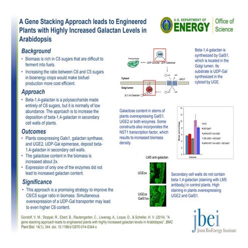 JBEI Highlights December 2014 | PPT
