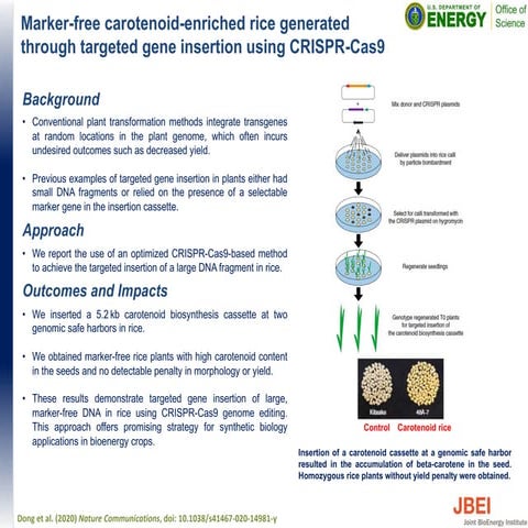"Utilizing Green Solvents for Biomass Pretreatment in Biofuel ...