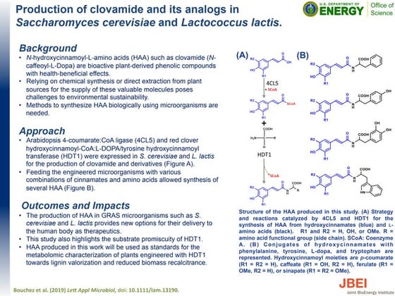 Degradative plasmids & superbug for oil spills | PPT