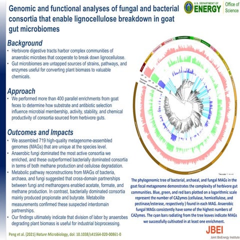 JBEI Research Highlight Slides - February 2021 | PPT