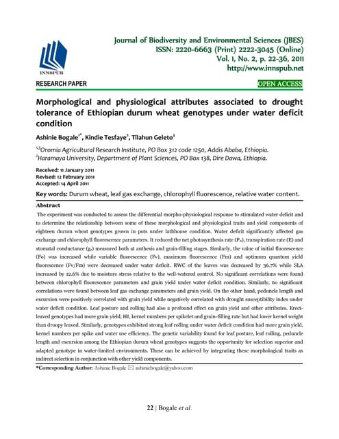 submergence tolerance in rice - sub 1 | PPTX