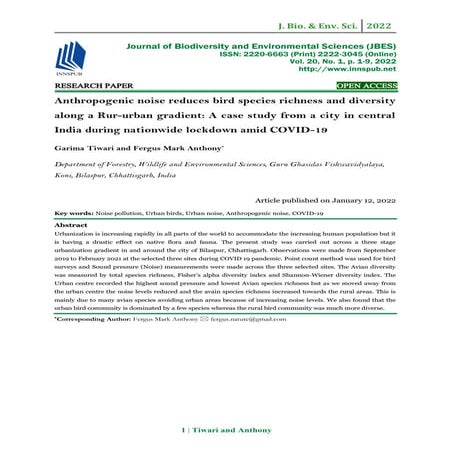 Anthropogenic noise reduces bird species richness and diversity along a ...