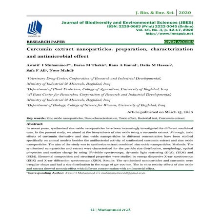Curcumin extract nanoparticles: preparation, characterization and ...