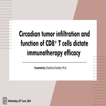 JC-CC-Circadian tumor infiltration and function of CD8 T cells dictate ...