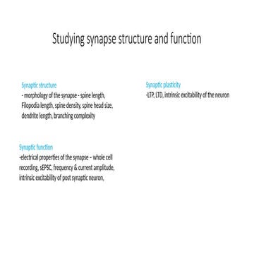 Studying synapse structure and function. Synaptic structure and ...