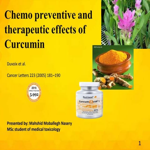 Curcumin_NF-KB | PPT