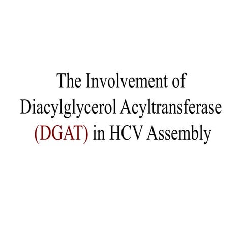 Dr. Mahra Nourbakhsh: The Involvement of Diacylglycerol Acyltransferase ...