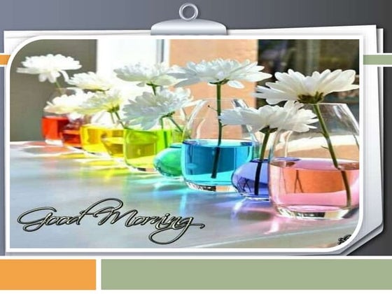 To evaluate the clinical efficacy of enhancing deficient interdental ...