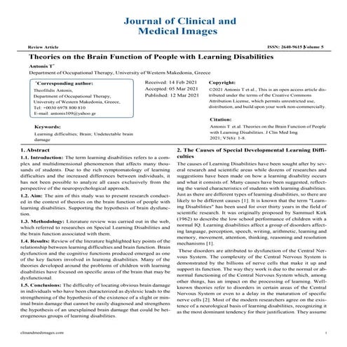 Theories on the Brain Function of People with Learning Disabilities | PDF