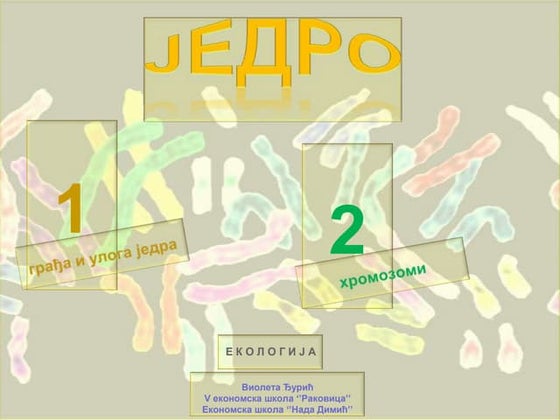 Bakterije | PPT
