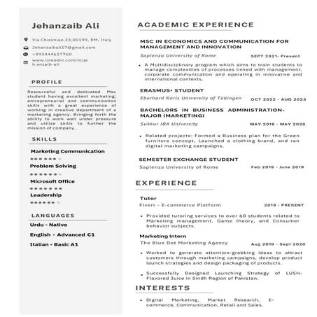 Jehanzaib Ali CV.pdf
