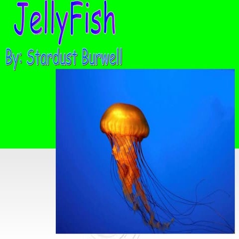 Jellyfish | PPT