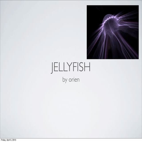 Jellyfish | PPT
