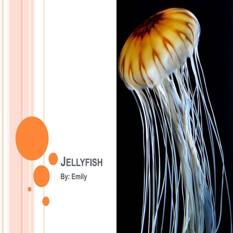 Jellyfish | PPTX