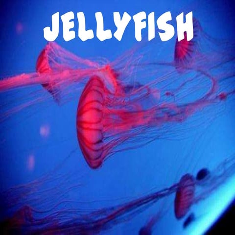 Jellyfish | PPTX | Fish and Aquariums | Pets