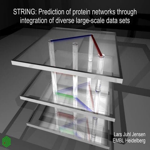String Prediction Of Protein Networks Through Integration Of Diverse