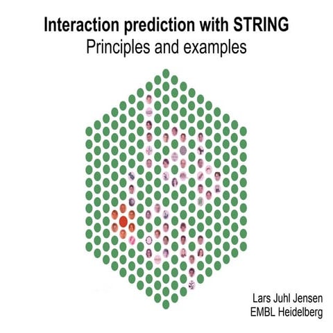 Interaction Prediction With String Principles And Examples Ppt
