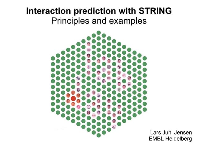 Interaction Prediction With String Principles And Examples Ppt