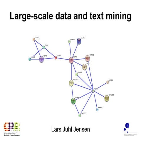 Large-scale data and text mining | PPT
