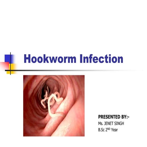 Jenet Singh Hookworm Pptx