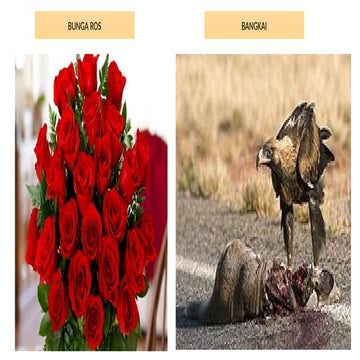 JENIS-JENIS NAJIS DAN CARA MENYUCIKANNYA.pptx