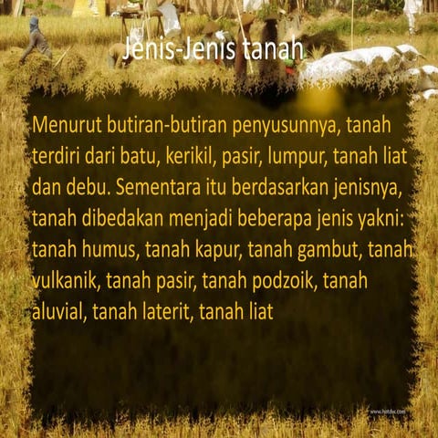 Jenis Tanah 10 Penyebaran Jenis Tanah Yang Ada Di Indonesia