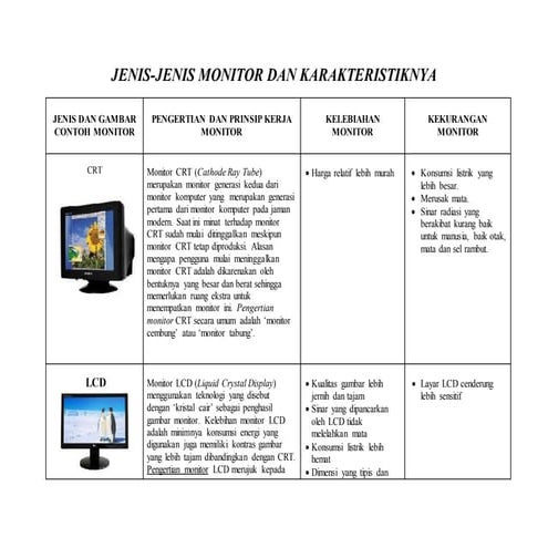 KINDS OF MONITOR AND THEIR CHARACTERISTICS (JENIS MONITOR DAN ...