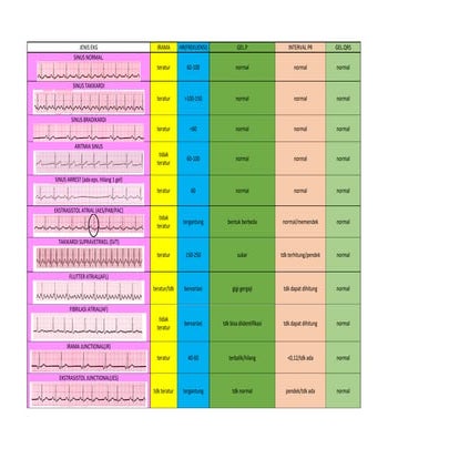 THE TYPES OF ELECTROCARDIOGRAPHY OF HUMAN | PDF
