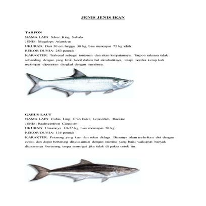 Jenis jenis ikan | PDF