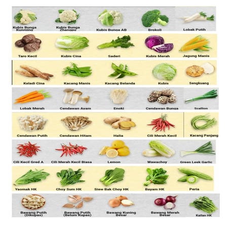 jenis jenis sayur.pdf