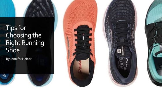 English Bulldog Summer Tips | PPT